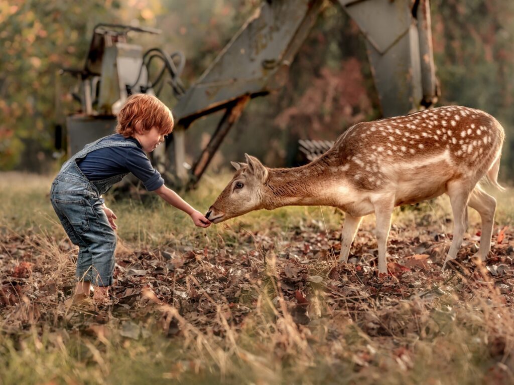 VIONN - Garantie Gegen Wildunfälle